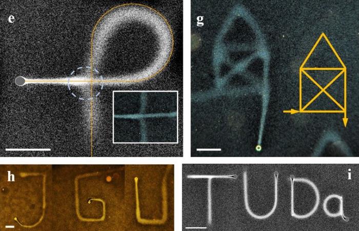 images drawn in water [IMAGE] | EurekAlert! Science News Releases