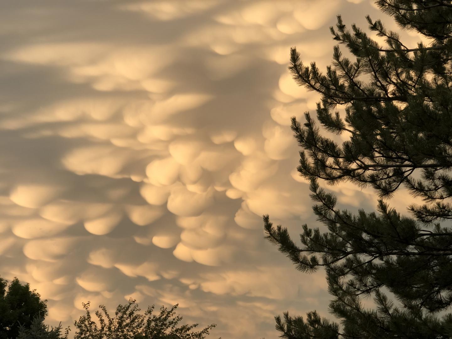 Mammatus Clouds [IMAGE] | EurekAlert! Science News Releases
