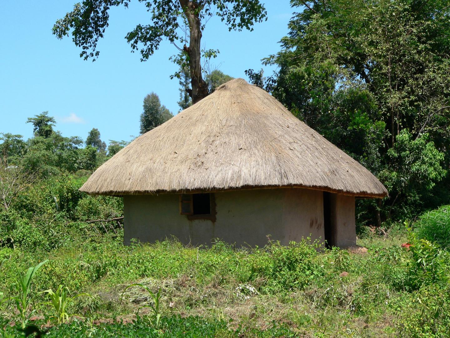 Luo Home [IMAGE] | EurekAlert! Science News Releases