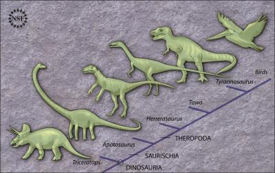 Triassic Dinosaur Illuminates Early Dino Evol | EurekAlert!