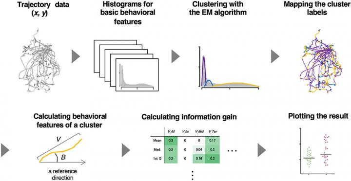 STEFTR Method [IMAGE] | EurekAlert! Science News Releases