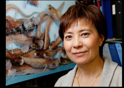 Christina Cheng, University of [IMAGE] | EurekAlert! Science News Releases