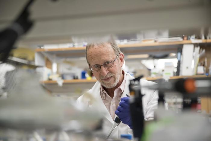 Alzheimer’s discovery reveals dire effect of | EurekAlert!