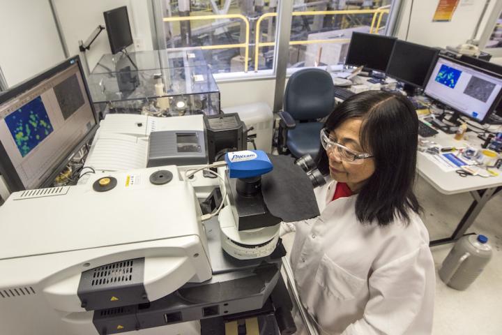 Hoi-Ying Holman, DOE/Lawrence [IMAGE] | EurekAlert! Science News Releases