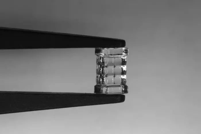 microlens array [IMAGE] | EurekAlert! Science News Releases