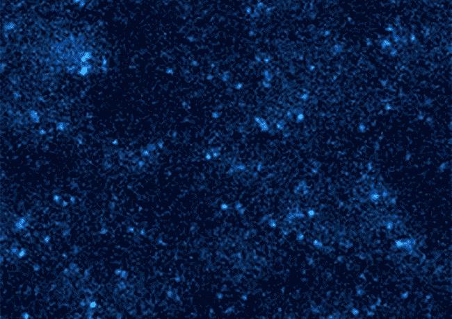 Blinking DNA Barcodes [IMAGE] | EurekAlert! Science News Releases