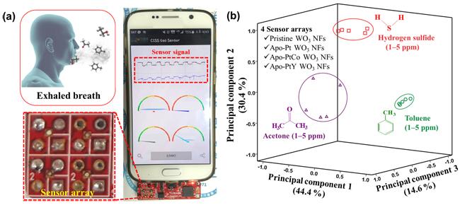 Innovative nanosensor for disease diagnosis | EurekAlert!