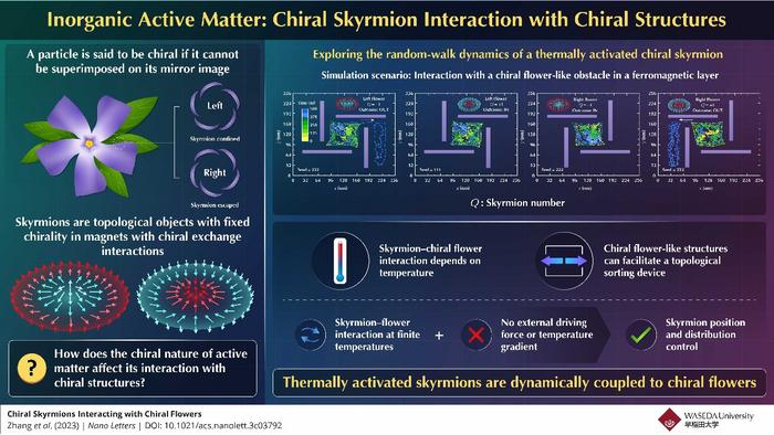 The interaction of chiral skyr [IMAGE] | EurekAlert! Science News Releases
