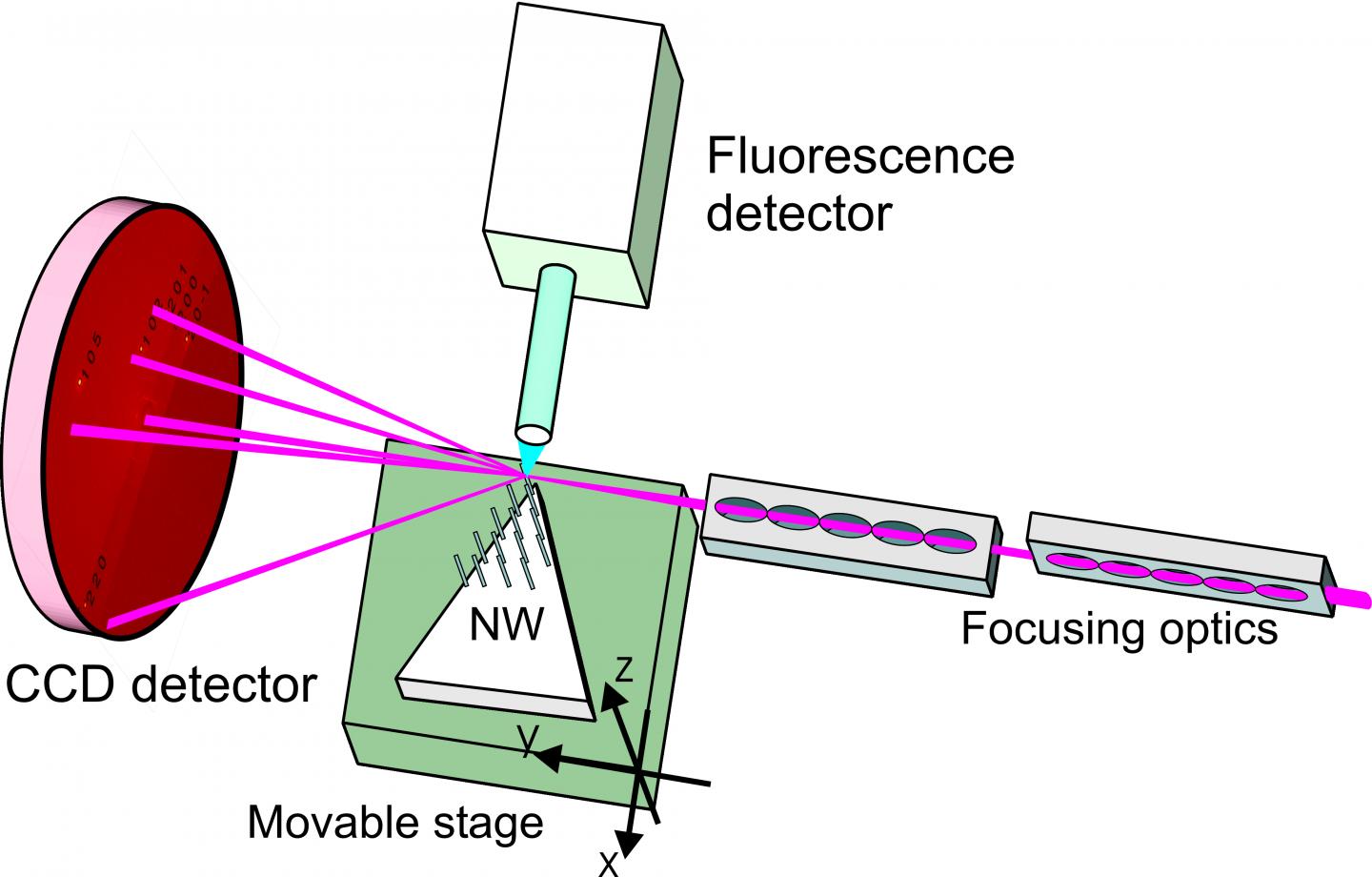 Experiment Setup [IMAGE] | EurekAlert! Science News Releases