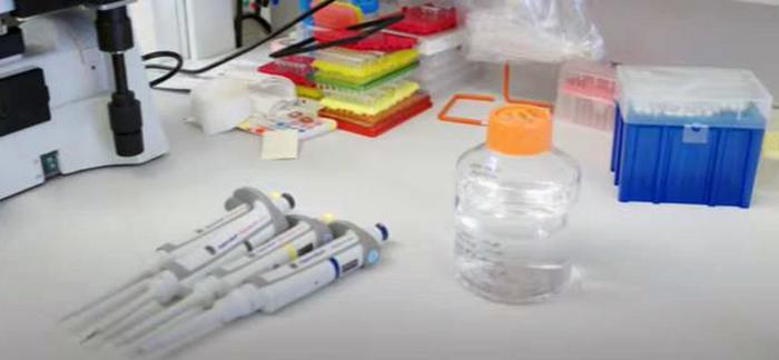 Lab scene Shendure Lab [IMAGE] | EurekAlert! Science News Releases