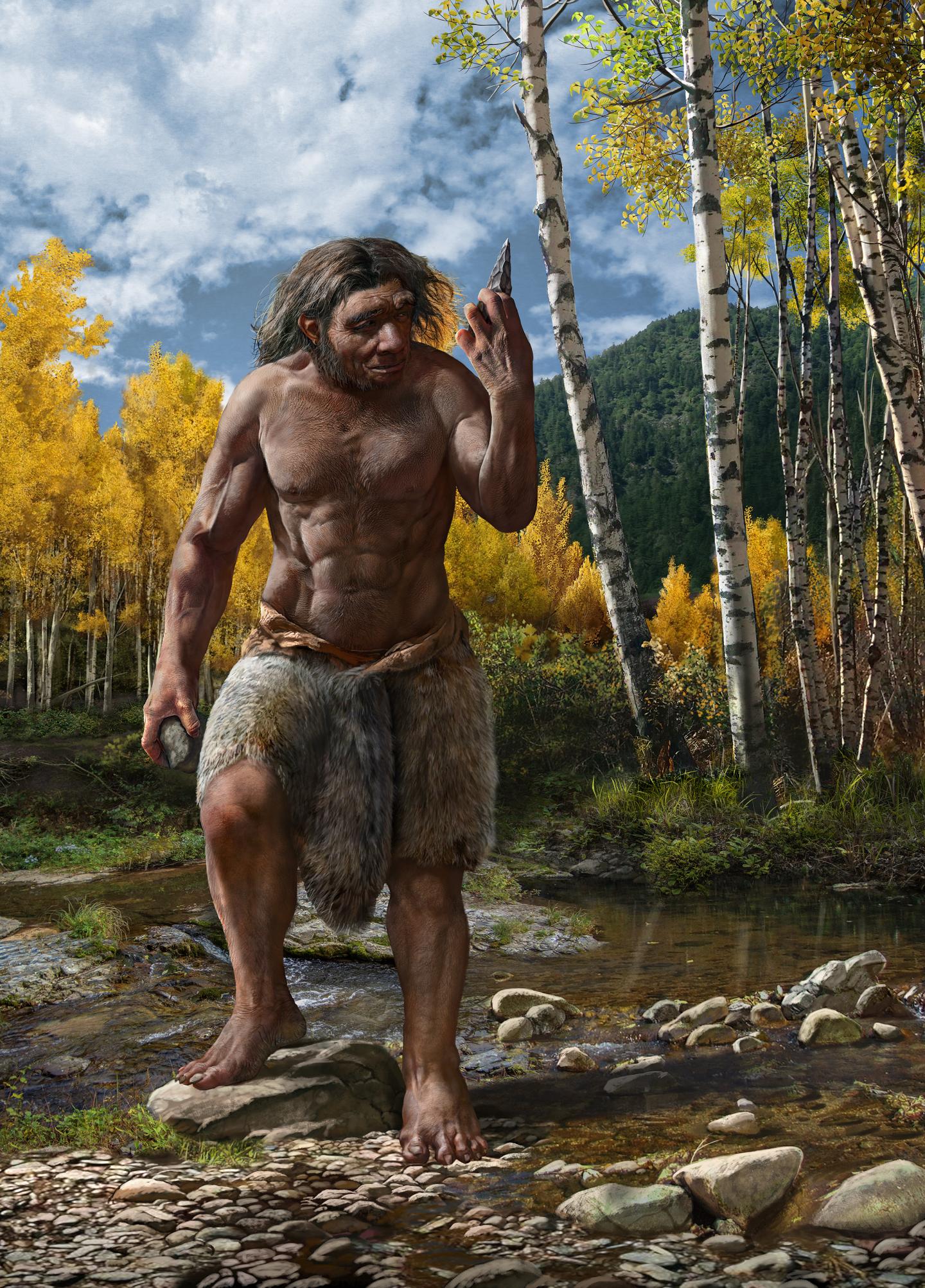 Dragon Man reconstruction [IMAGE] | EurekAlert! Science News Releases