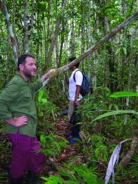 Field Museum gives Parker/Gentry Award to mis | EurekAlert!