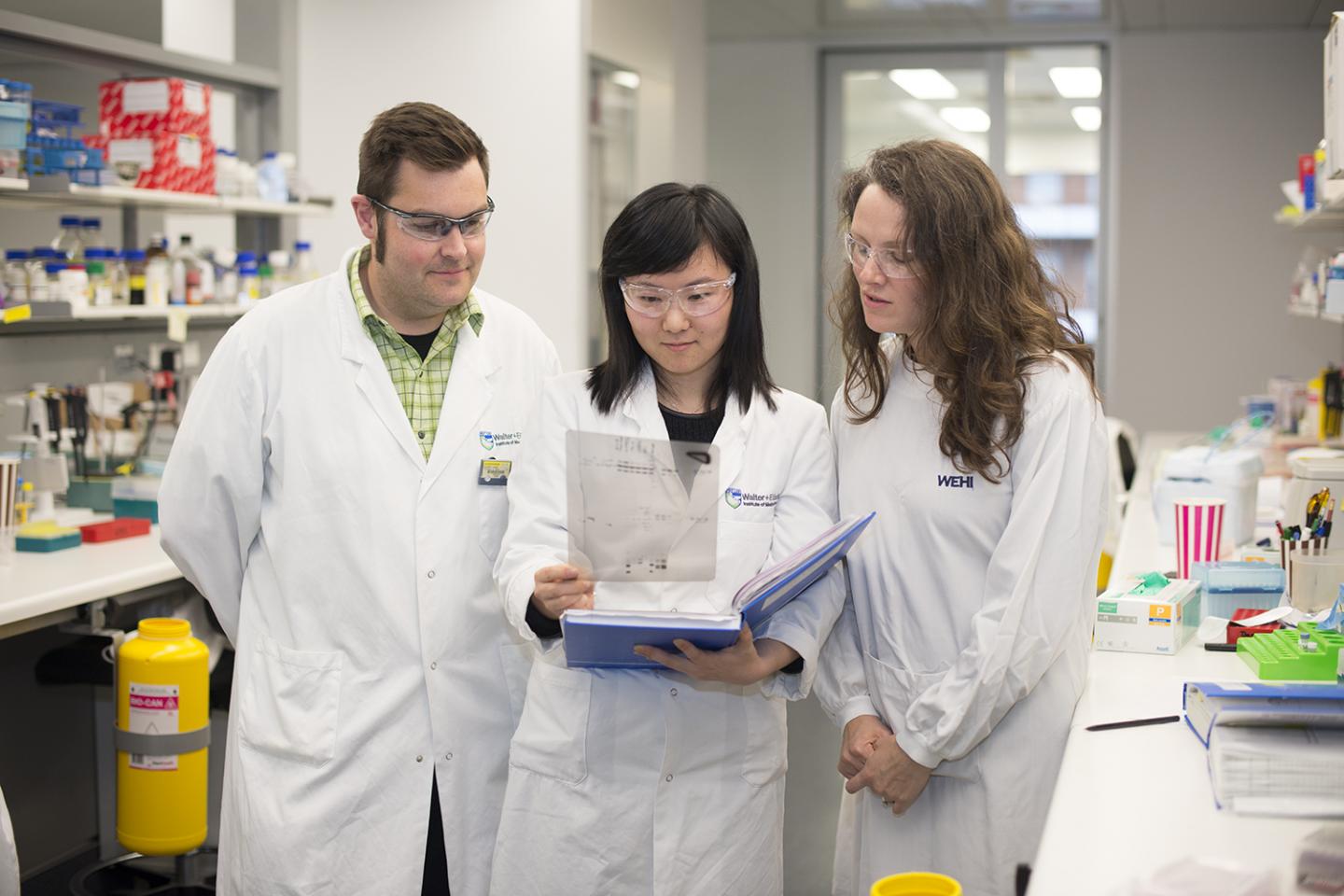 James Murphy, Kelan Chen and M [IMAGE] | EurekAlert! Science News Releases