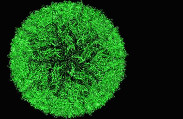 Zika Virus Protein, Protein Da [IMAGE] | EurekAlert! Science News Releases