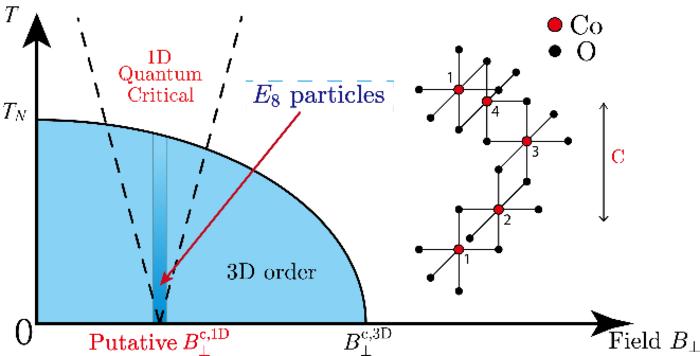 Phase diagram of BaCo2V2O8 und [IMAGE] | EurekAlert! Science News Releases