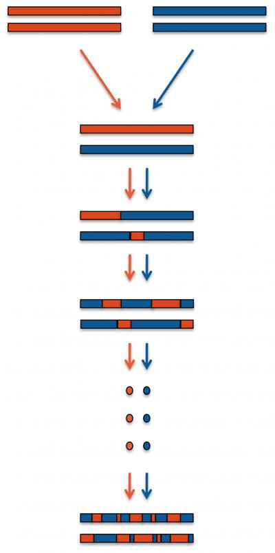 A 4,000-Year-Old Atlas of Human Interaction ( | EurekAlert!