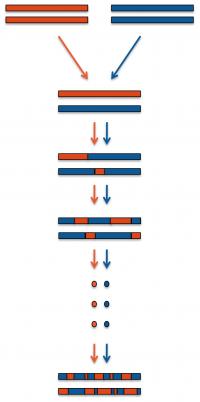 A 4,000-Year-Old Atlas of Human Interaction ( | EurekAlert!