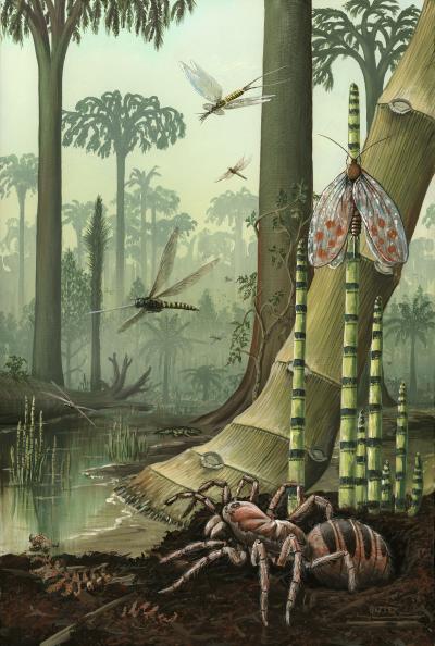 Insects of the Carboniferous [IMAGE] | EurekAlert! Science News Releases