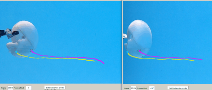 Robotic ammonite swimming gifs [IMAGE] | EurekAlert! Science News Releases