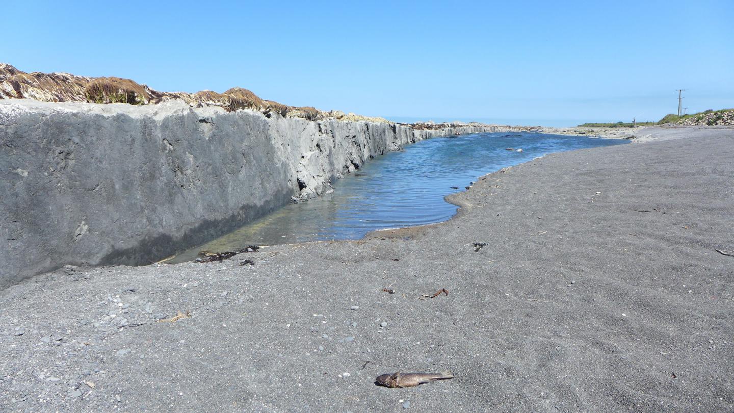 Complex New Zealand Quake May [IMAGE] | EurekAlert! Science News Releases