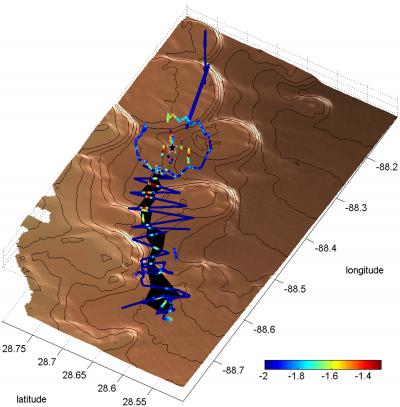 Deepwater Horizon Oil Plume Measured (2 of 4) | EurekAlert!