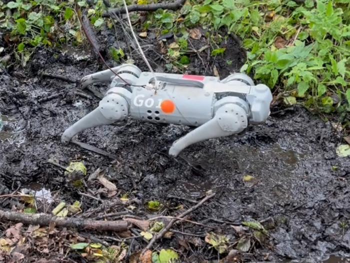 swamp_kakumae1.jpg [IMAGE] | EurekAlert! Science News Releases