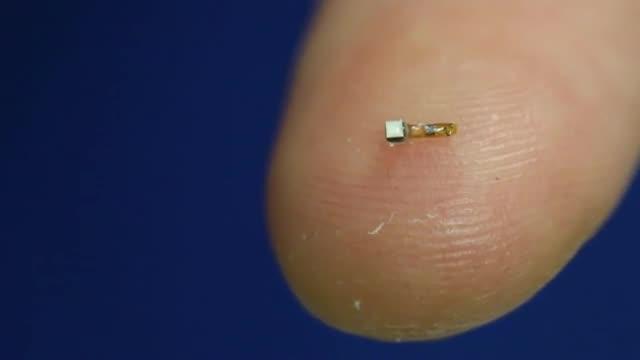 Sprinkling of neural dust opens door to elect | EurekAlert!