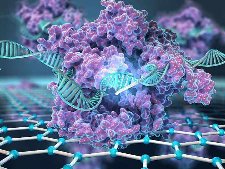 CRISPR-chip enables digital detection of DNA | EurekAlert!