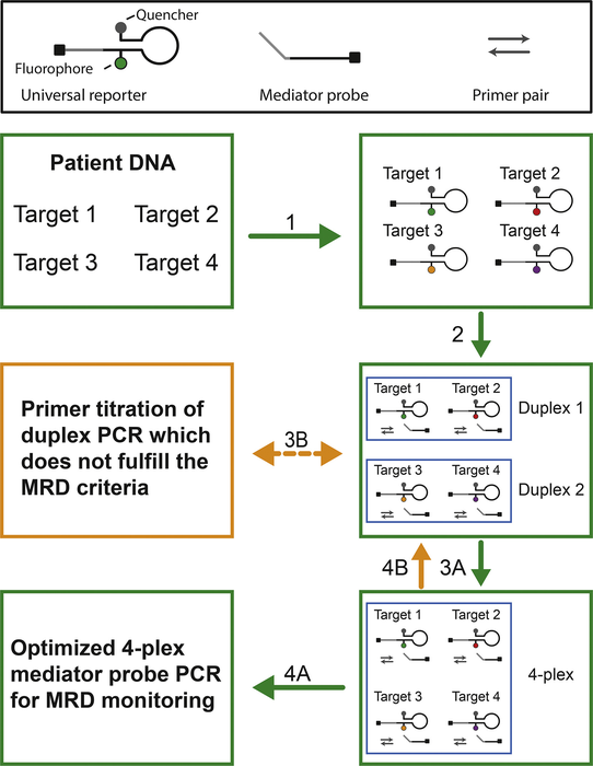 New personalized test for an earlier and more | EurekAlert!