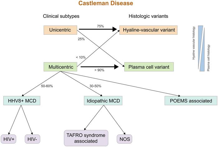 Mimickers and associated neoplasms of Castlem | EurekAlert!