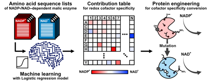 Schematic illustration of this [IMAGE] | EurekAlert! Science News Releases