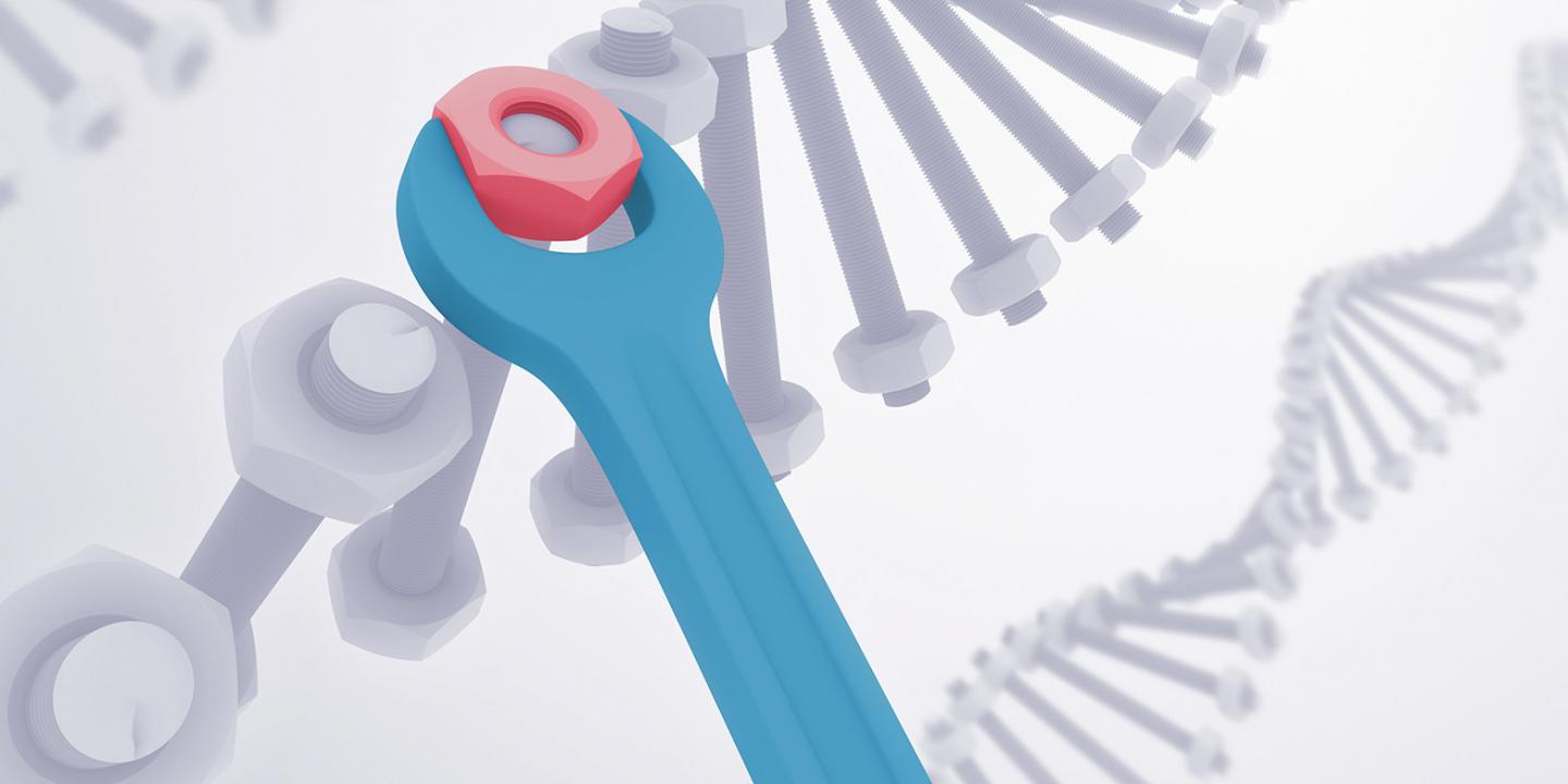 Gene Editing [IMAGE] | EurekAlert! Science News Releases