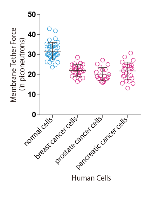 Figure 1: [IMAGE] | EurekAlert! Science News Releases