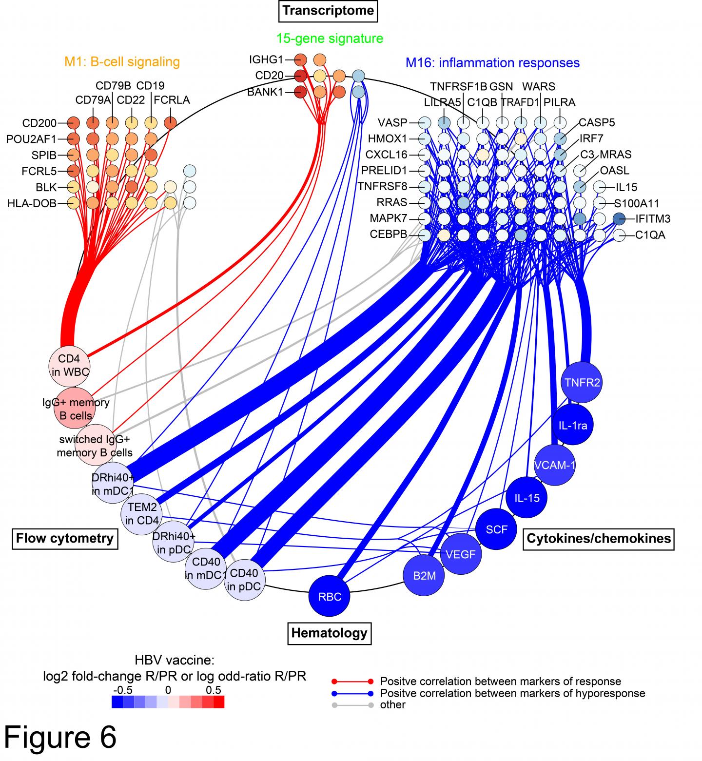 Genes Expressed By Specific Ce [IMAGE] | EurekAlert! Science News Releases