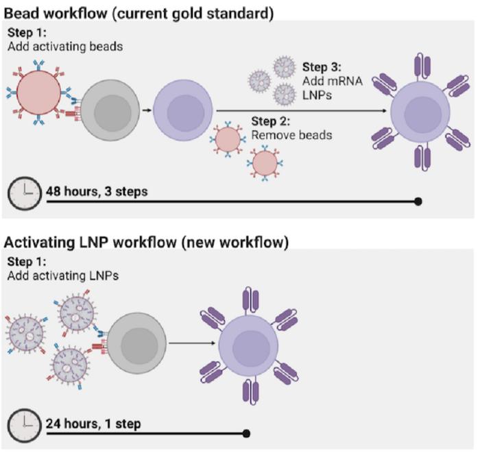 Activating Lipid Nanoparticles [IMAGE] | EurekAlert! Science News Releases