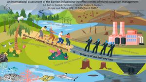 Cartoon - Drivers of biodivers [IMAGE] | EurekAlert! Science News Releases