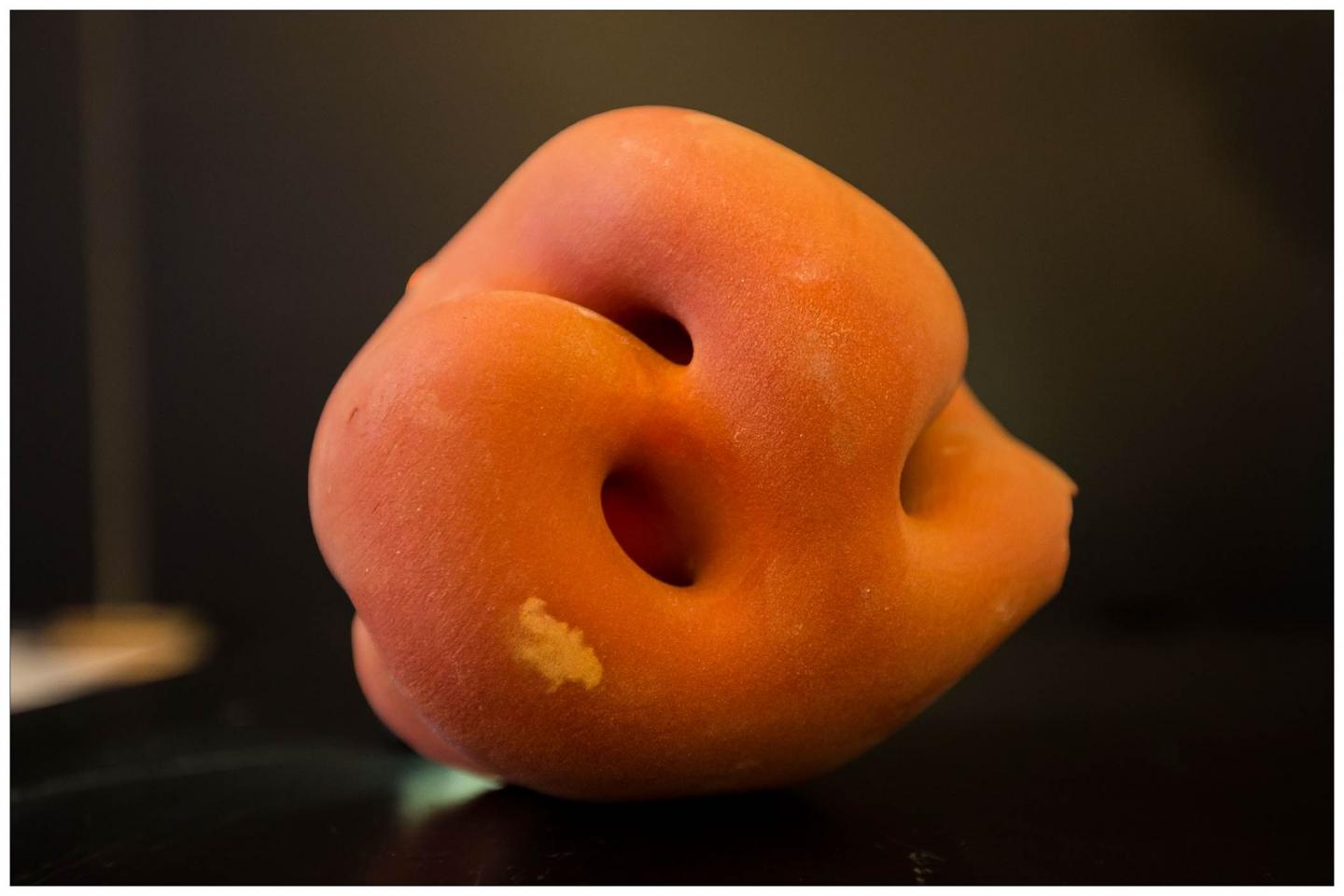Colored Print in Plaster of a [IMAGE] | EurekAlert! Science News Releases