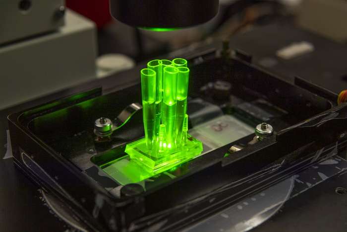 "Time machine" experiment [IMAGE] | EurekAlert! Science News Releases