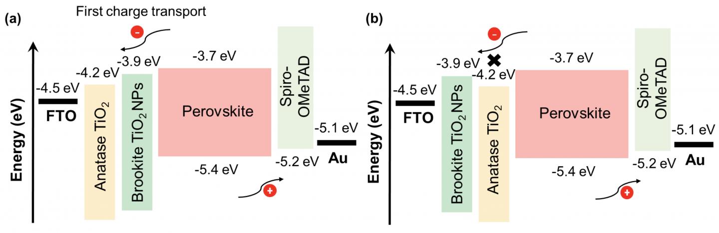 Figure 1. [IMAGE] | EurekAlert! Science News Releases