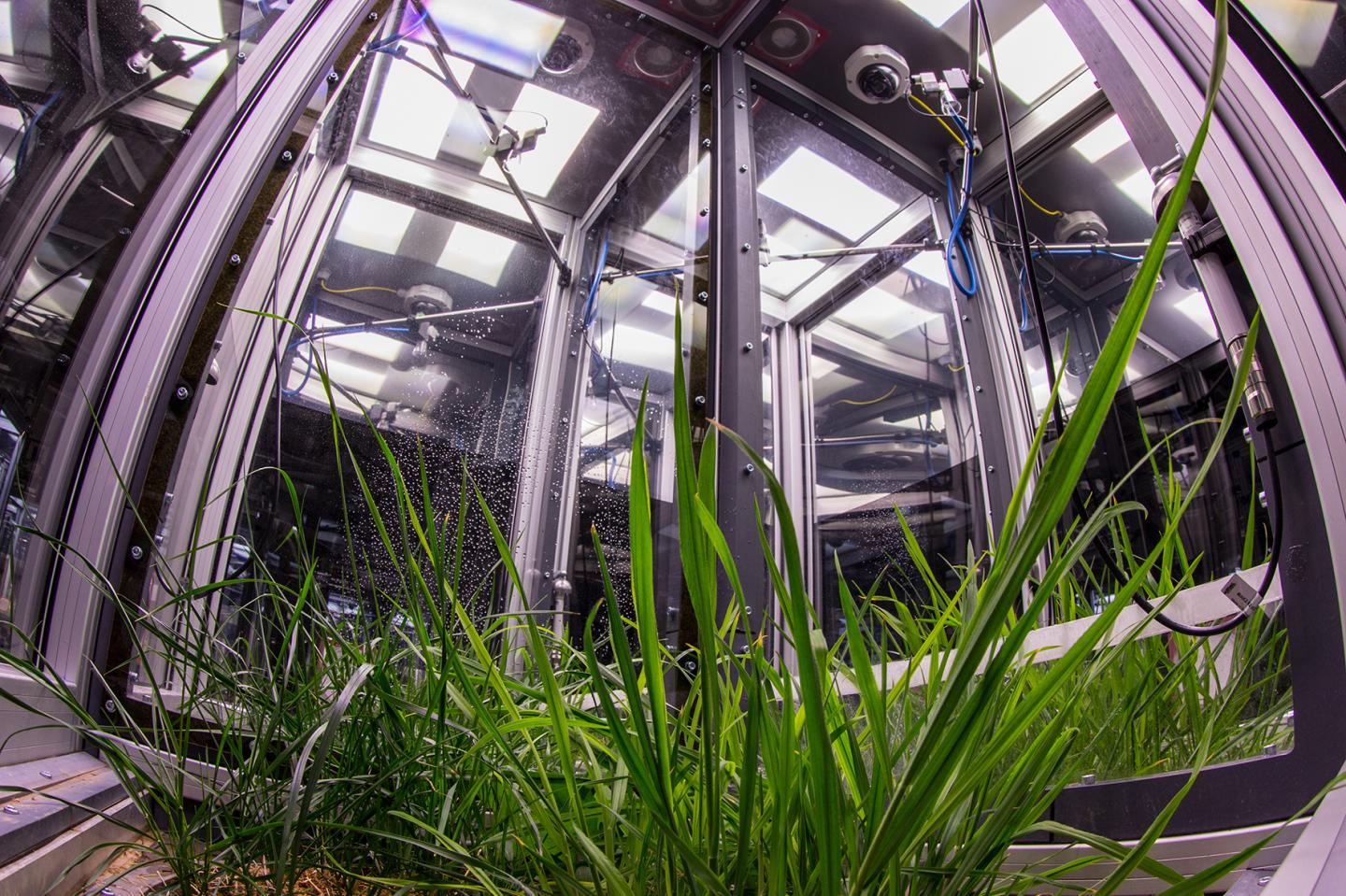 idiv ecotron 2 [IMAGE] | EurekAlert! Science News Releases