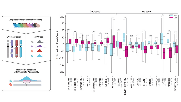 Resolving genetic diversity in [IMAGE] | EurekAlert! Science News Releases