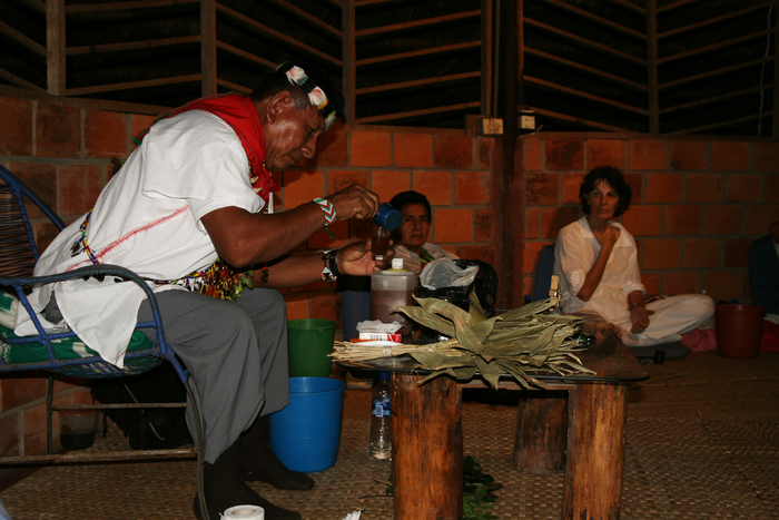 Music and ayahuasca’s role in treating substa | EurekAlert!