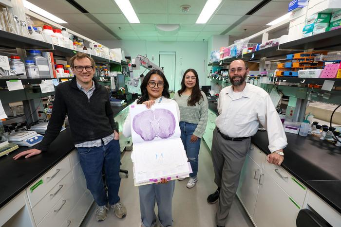 Addiction-Related Decision-Mak [IMAGE] | EurekAlert! Science News Releases