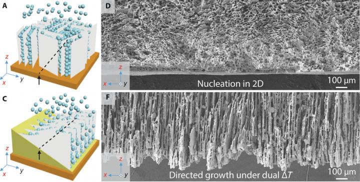 Bidirectional Freeze-Casting [IMAGE] | EurekAlert! Science News Releases