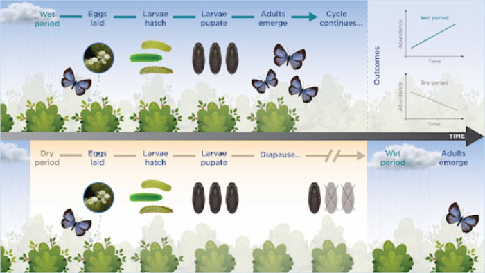 Shifting Rainfall Patterns Wil [IMAGE] | EurekAlert! Science News Releases