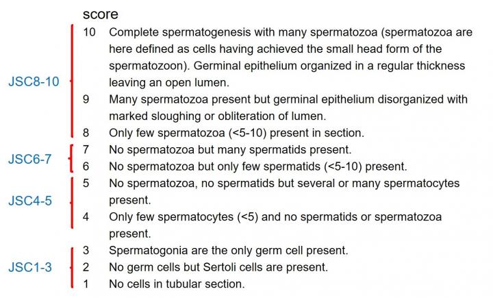 Johnsen scores and classificat [IMAGE] | EurekAlert! Science News Releases