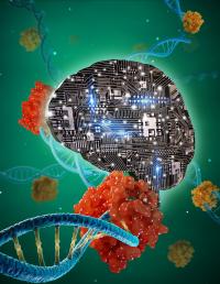 Deep Learning-Based Model Accurately Predicts | EurekAlert!