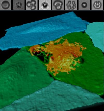 The UPMC Cam used to Explore G [IMAGE] | EurekAlert! Science News Releases