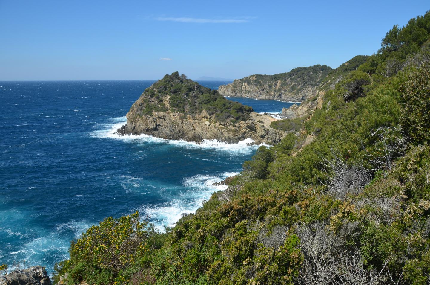 Climate Change Means Major Ecosystem Shifts f | EurekAlert!