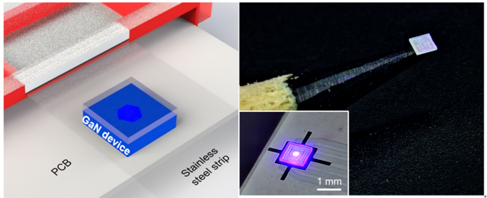 Schematic diagram of the propo [IMAGE] | EurekAlert! Science News Releases